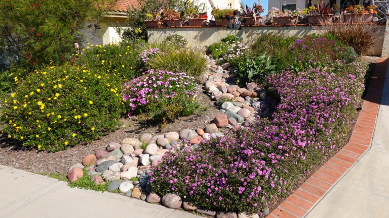 8 Rhode Island Native Plants List (With Photos)