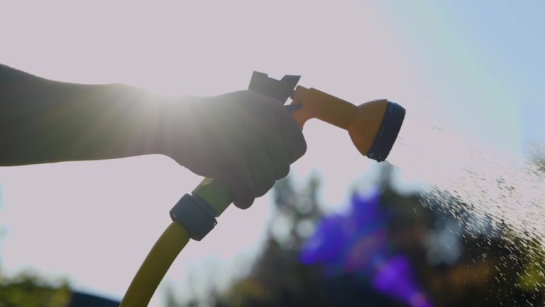 7 Signs Of Grubs In Lawn (And How To Get Rid Of Them)