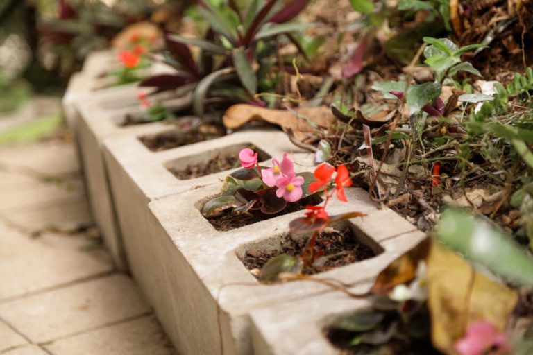 13 Creative Cinder Block Raised Garden Bed Ideas (With Pictures)
