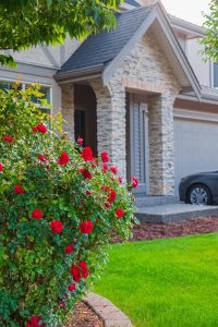 Landscaping With Knock Out Roses (9 Brilliant Ideas)