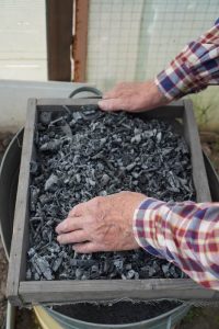 5 Wood Ash Uses For Tomato Plants To Maximize Your Crop